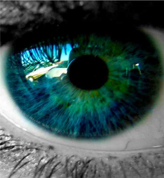 Optometrist and Optician Services | Eye-deology Vision Care, Edmonton